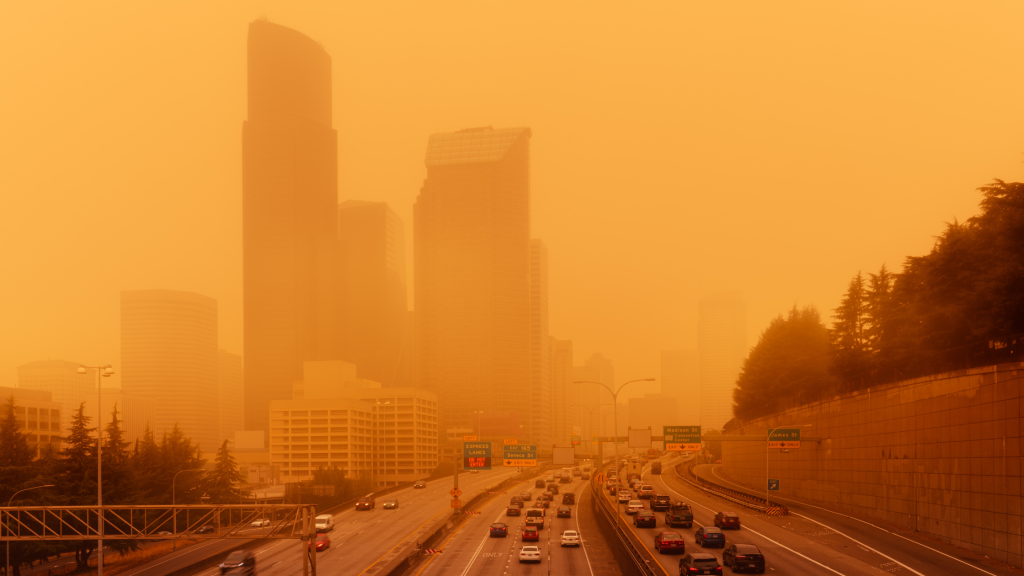 Protecting Indoor Air Quality During Wildfires - Janitized®